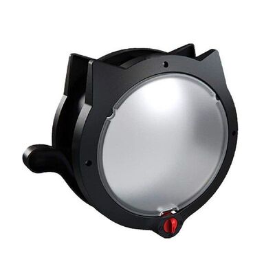 Cat Dog Flap Door for Kitten Security Interior Exterior