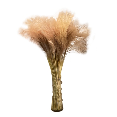 Hot 60 Pcs Dried Pampas Grass Bouquet Wedding Decor Dried