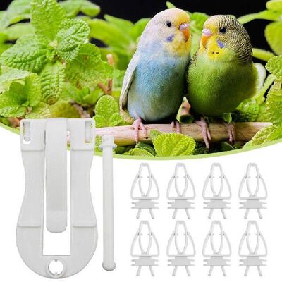 Plastic Birds Food Holder Pet Parrot Feeding Fruit Vegtable