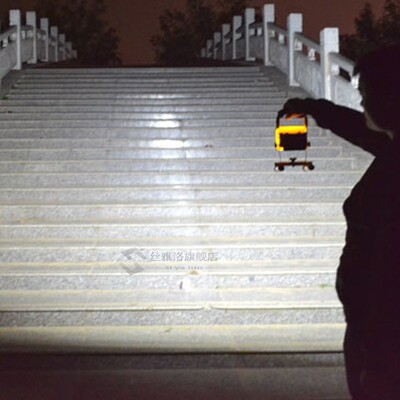 Waterproof IP65 24 LEDs 3 models 30W LED Floodlight Portable