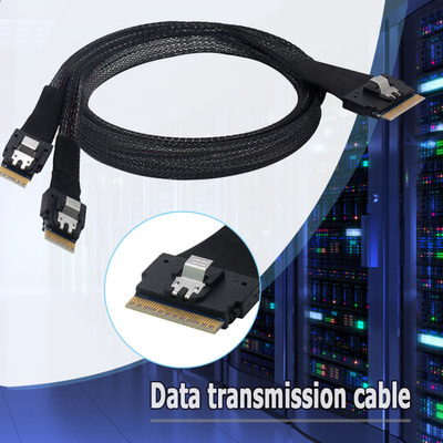 0.5M SAS 4.0 SFF-8654 8i 74 Pin to 2 SFF-8654 4i 38 Pin Cord