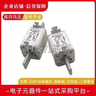 170M3689 170M3690/3691/3692/3693/3694/3695/3696/3697熔断器