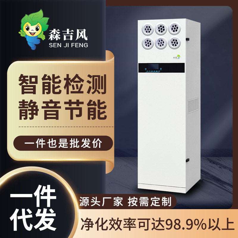 商业公共场所室内空气净化设备柜式杀霉菌除臭商用除异味新风机空