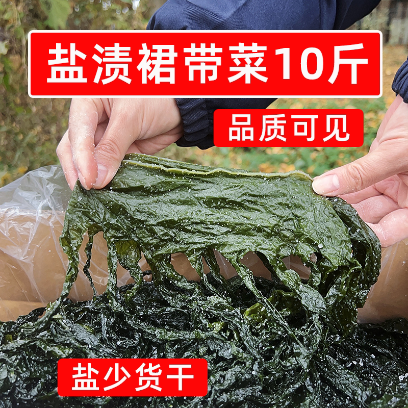 新鲜盐渍裙带菜10斤整箱半干裙带叶海带嫩芽海藻嫩苗火锅商用食材