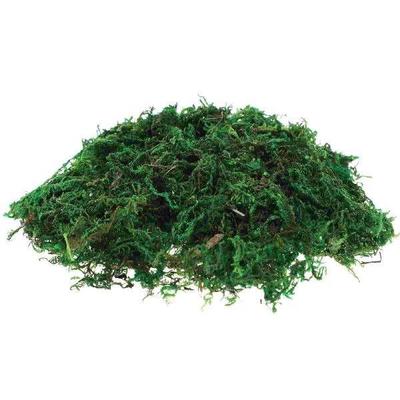 Decorative Moss Green for Plants Preserved Potted Fake