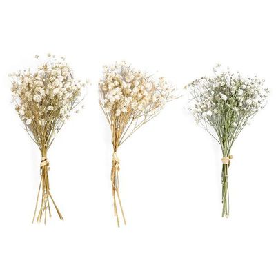 3 Bunches Permanent Dried Flowers Babysbreath Bouquet