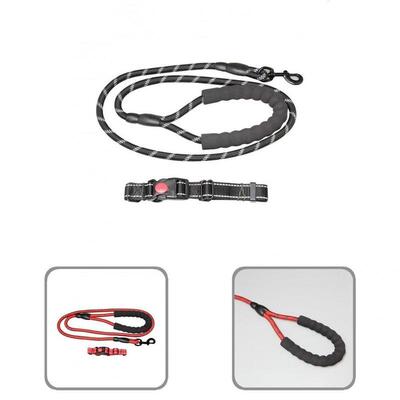 Comfortable Strong Universal Pet Training Leash Collar Set