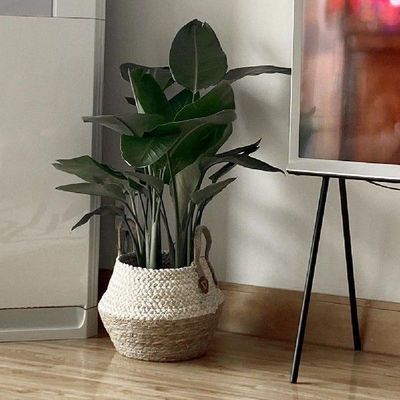 Strong Storage Holder Foldable Widely Use Portable Folding