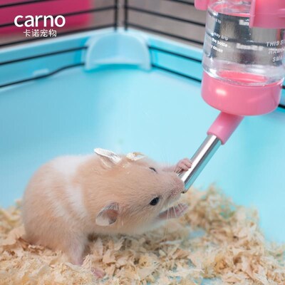 Hamster Drinking Kettle Drinker Rabbit My Neighbor Totoro