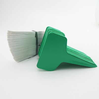100X Plant suculentas T Markers Sign tags plastic Labels Flo
