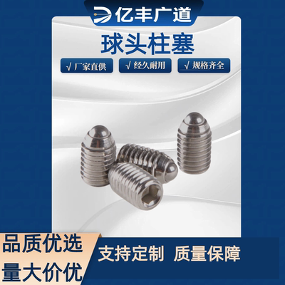 球头柱塞 不锈钢 轻载重载加长型玻珠ZAH51  BSML/BSZL 3 4 5 6 8