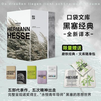 【赠送随身包】磨铁经典文库系列：黑塞文集（全五册） 赫尔曼黑塞 世界名著 五部代表作五次精神出走 磨铁图书