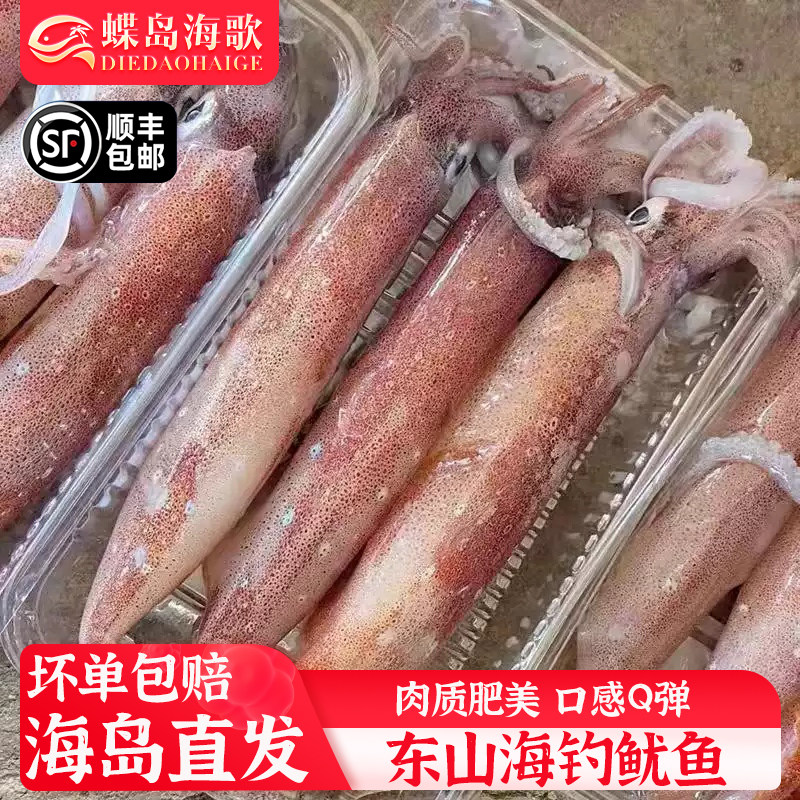 东山岛海钓鱿鱼冷冻无泡水海鲜枪乌贼海兔子手钓大笔管海鲜水产