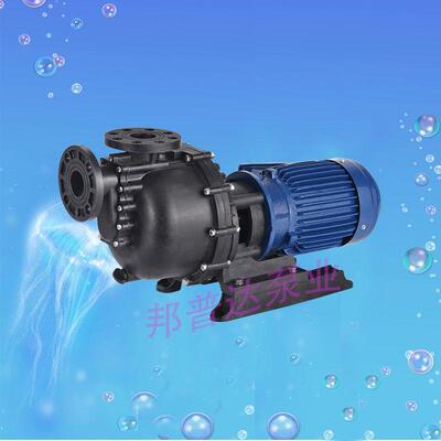 耐酸碱 耐腐蚀  自吸泵SG-75052VBL-SCH