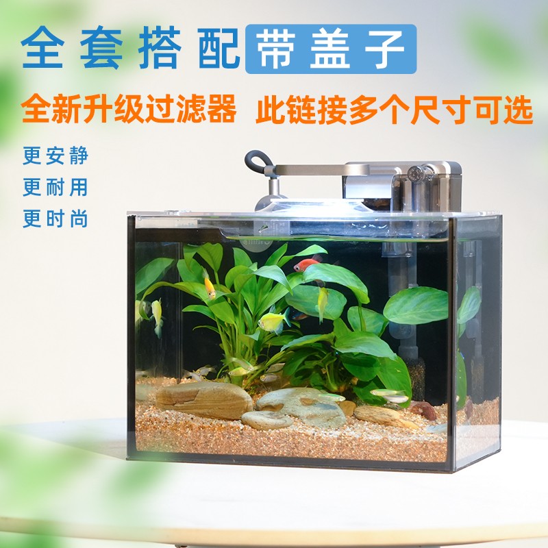 桌面生态水景缸 经典款 包含水草造景玻璃鱼缸生态缸 草缸带过滤