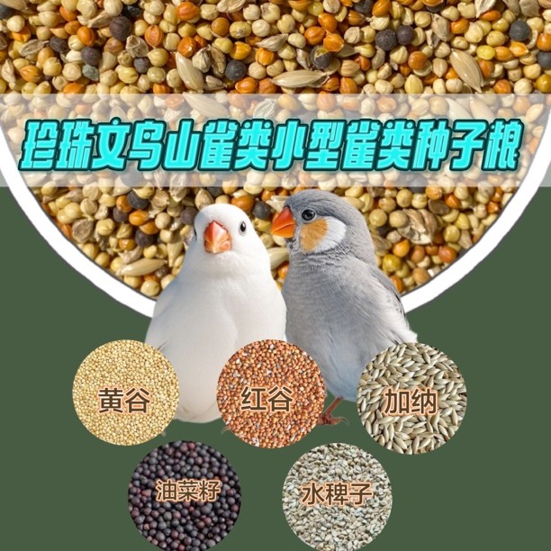珍珠文鸟十姐妹保姆鸟黄雀玉鸟金青小型雀类鸟食纯种子鸟粮小型鸟