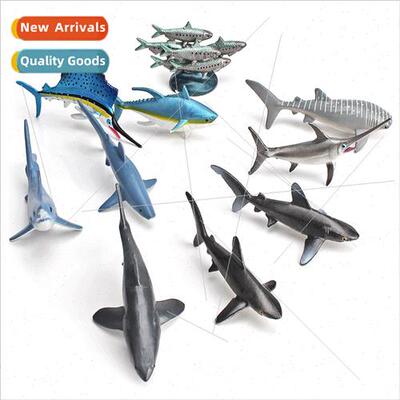 Mini whale shark sailfish great whe shark tuna pelagic fish
