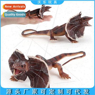 Wildlife umbrella lizard model amphibian amphibian solid liz