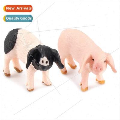 droopy-eared pig model fan hands do you sandbox farm poultry