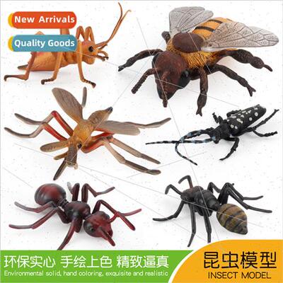 Children insect model mosquoes bees crickets ants PVC static