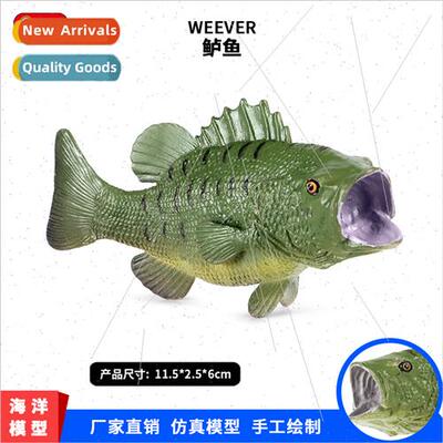 Children life animal solid largemouth bass flower bass fresh