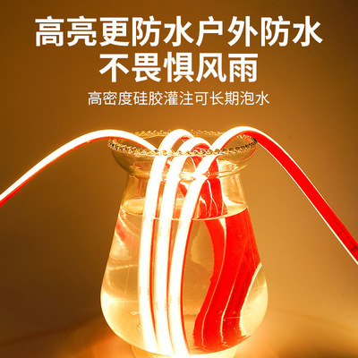 ip68水下泡水COB灯带条le