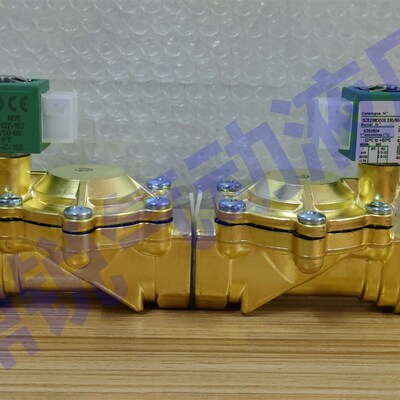 SCE238D005 DN25 C131609 1寸 二通式内X螺纹单向电磁阀