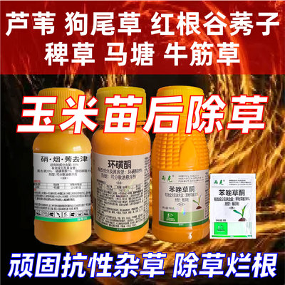玉米苗后除草剂芦苇狗尾草马塘牛筋草环磺酮黄苯唑草酮硝烟莠去津