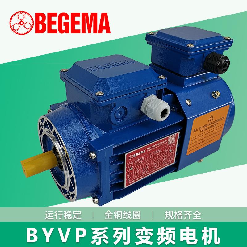 2级卧式苏州现货宝戈玛高速变频调速电动机BYVP63A2-B3-0.18W