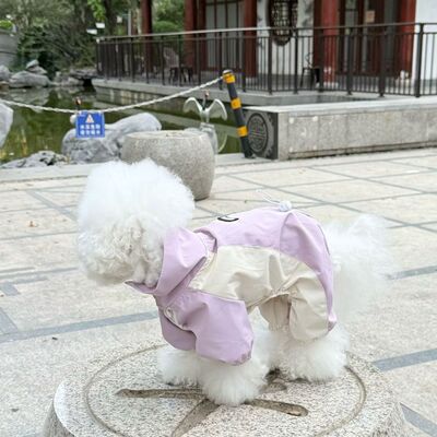 春秋款狗狗衣服四脚可爱外出加绒泰迪博美春秋款防尘防泼薄款冲锋