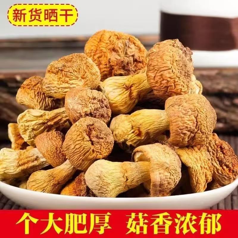 姬松茸菌巴西菇新货非野生菌云南特产菌菇虫草花干货炖鸡煲汤料包