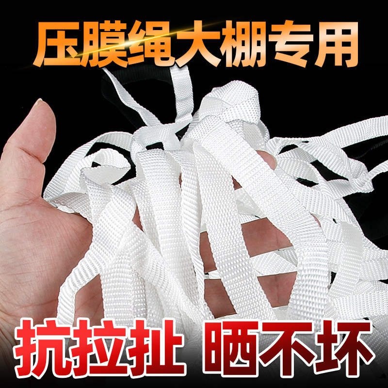 压膜绳大棚专用压膜线塑料绳子捆绑绳子扁带压膜带涤纶丝高强度白