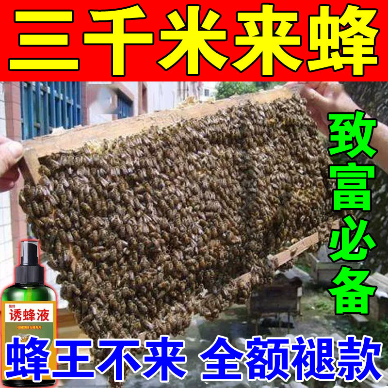诱蜂膏神器蜂蜡诱蜂用野外用诱蜂水 中蜂养蜂招蜂水 蜜蜂引诱蜂王