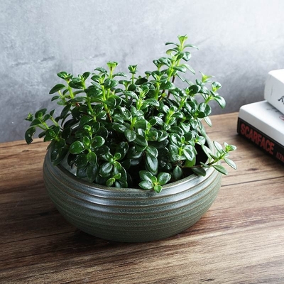 Hydroponic copper grass bowl lotus narcissus flower pot