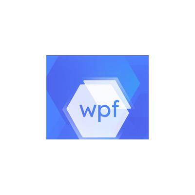Stimulsoft Reports.WPF 2024.1.
