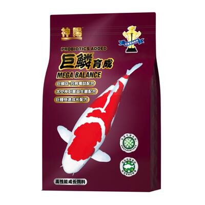 神阳巨锦鲤饲料比赛浑级高档锦用鲤FJB专鱼粮增体增色育成不水鳞