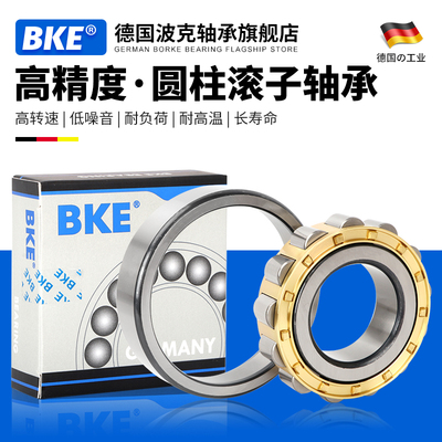 德国BKE轴承RSL SL 185004 185005 185006 185007 185008-A-XL-C3