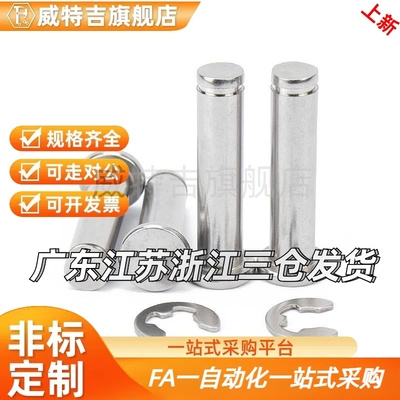 替换PHCCG SHCDG SHCCG SHCCGH3 4 5 6 8 10 HCCGH20铰链销