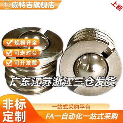 球头柱塞C-FBPJS带法兰FBPJ5 FBPJ6 FBPJ8 FBPJ10 FBPJ12 FBPJ16