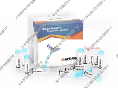 HyperScribe™All in One mRNA体外转录试剂盒,3'OMe加帽 5-moUTP