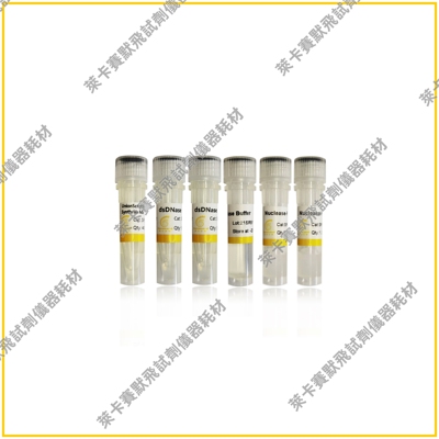 用于qPCR的UnionScript第一链cDNA合成预混液(含dsDNase)快速高效