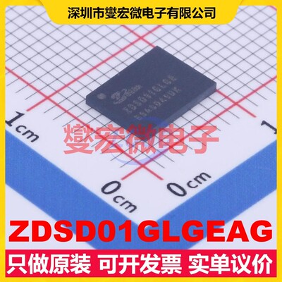 ZDSD01GLGEAG LGA-8(6x8) 1Gbit NAND FLASH存储器芯片IC