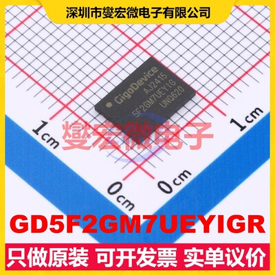 GD5F2GM7UEYIGR WSON-8(8x6) 2Gbit NAND FLASH存储器