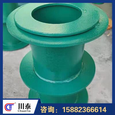 预0FS02侧防护密7闭套管DN50-120DN150C/D型人防穿墙埋套管刚性止