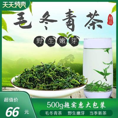 毛冬青茶云南野生嫩芽500g青山绿水茶展会毛东青中药茶叶