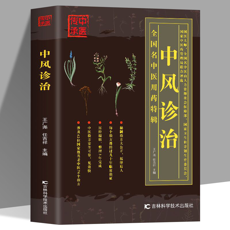 中风诊治 中医基础理论脑中风老中医验方处方临床经验 中风偏瘫康复恢复正确训练方法中草药配方治疗书籍 中医养生用药理疗保健书