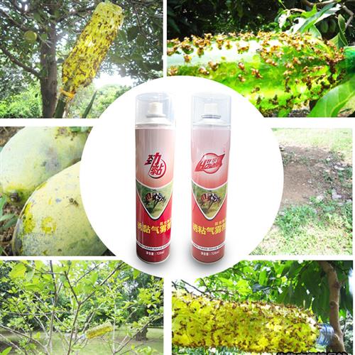 瓜果实蝇诱粘剂 昆虫诱捕剂 气雾罐诱黏剂 针蜂贴果蝇果园用包邮