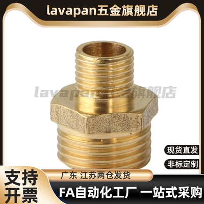 XZU01-0201 0301 0302 0402 0403 0604 全铜接头直接头 外螺纹异