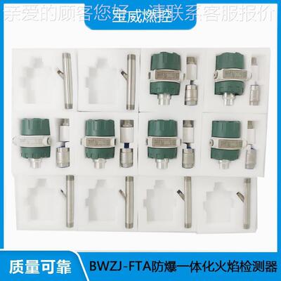 石置化工燃业料加热炉火焰检BWZJ-FTA测器/I装 防爆型EXDICT6
