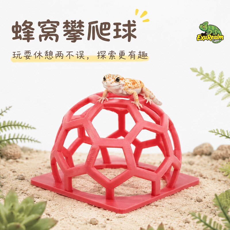 爬宠攀爬支架蛇守宫睫角攀爬玩具造景装饰活动健身房爬虫攀爬玩具